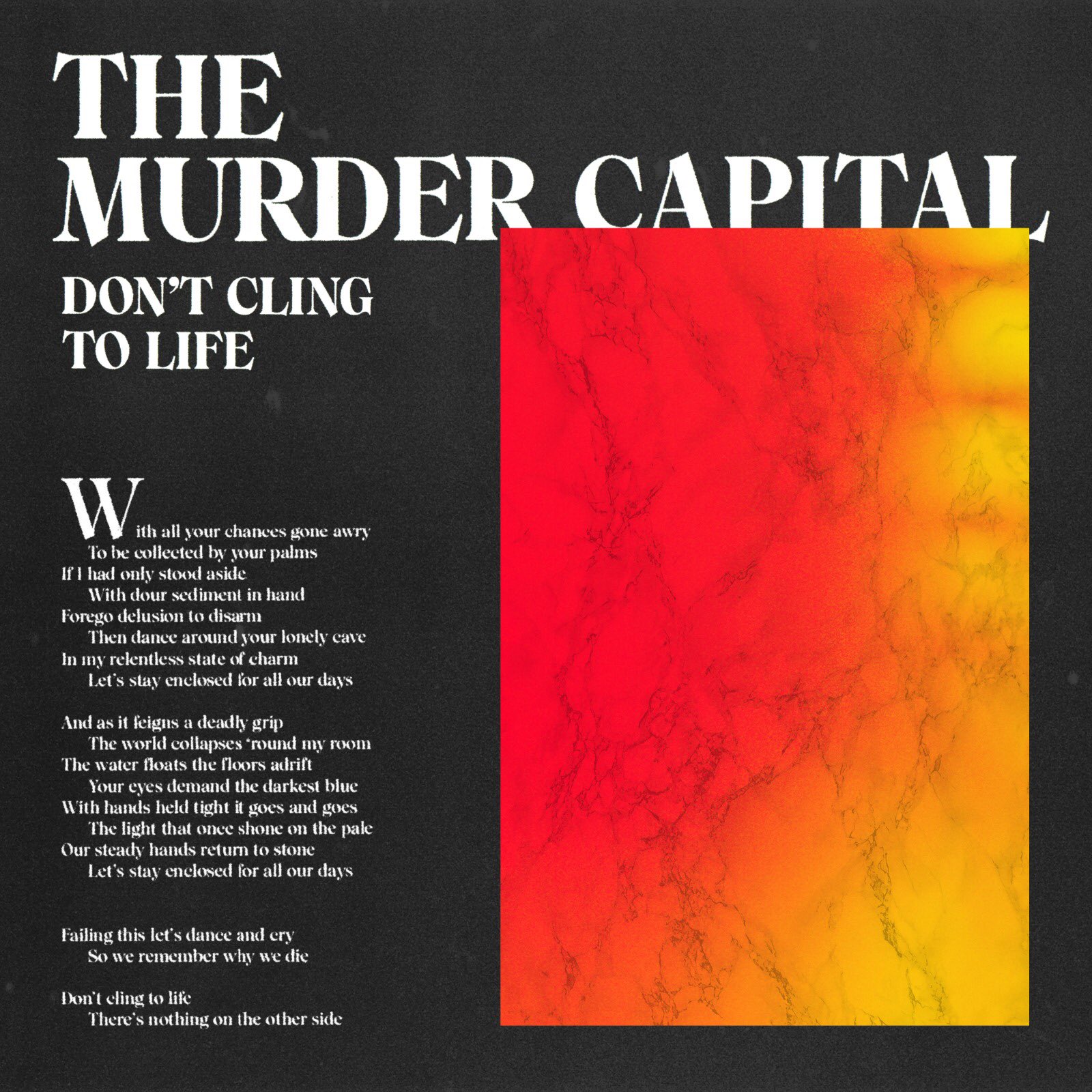 The Murder Capital-Don’t Cling To Life – reclessreviews